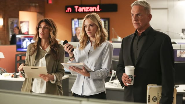 Tuesday on 5USA: NCIS, Law & Order, and More – Plan Your Binge