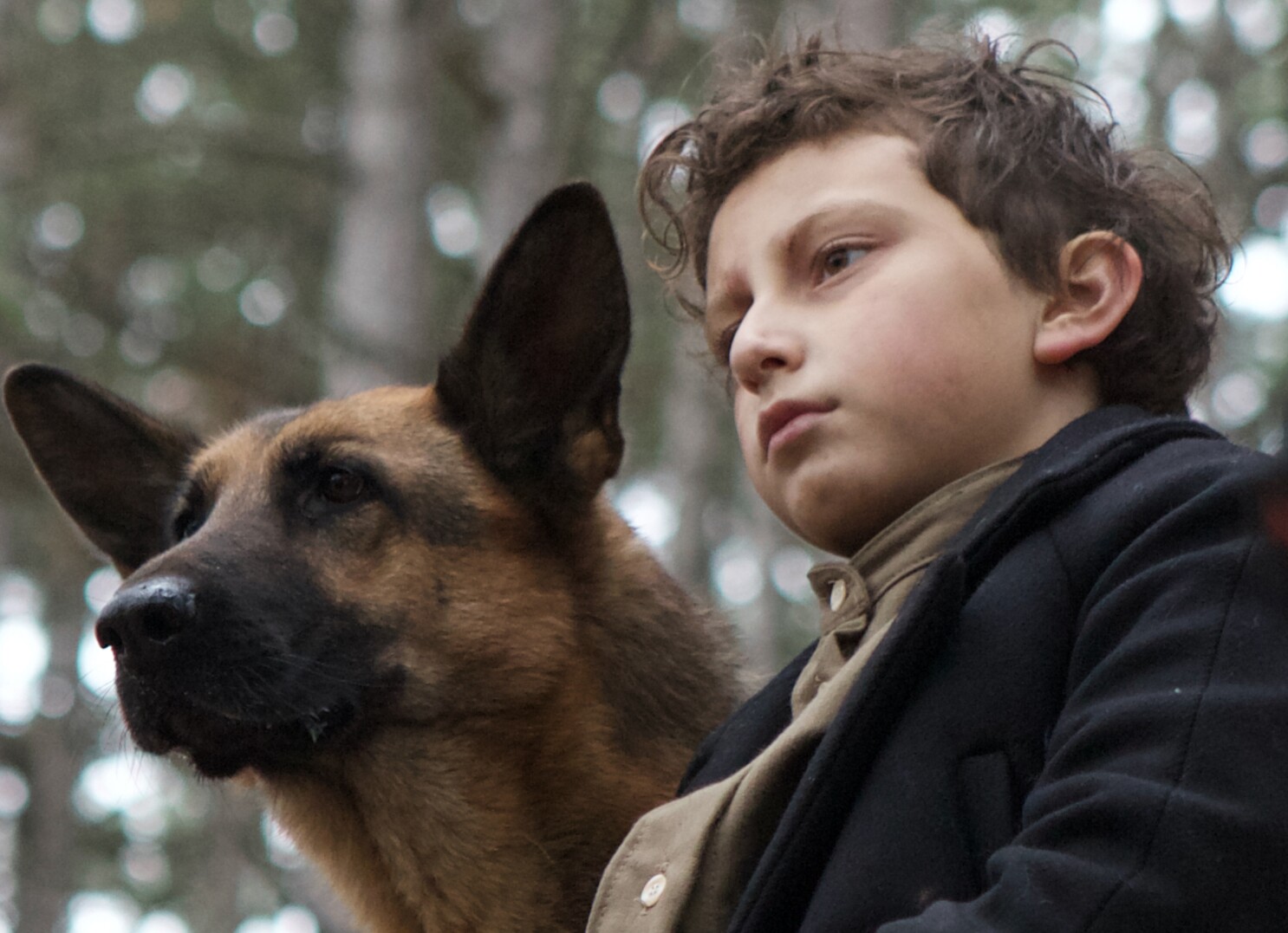 SHEPERD: The Story of a Jewish Dog Movie Review