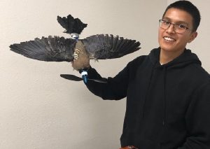 Scientists at New Mexico Tech Create 'Taxidermy Bird Drones ...