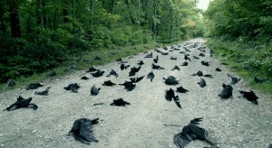 Alien Abduction Movie Review