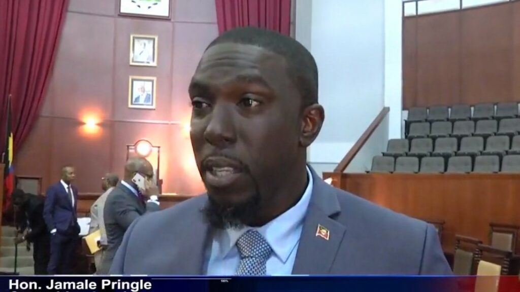 EXCLUSIVE: Jamale Pringle and UPP Entangled in Foreign-Backed Plot to ...