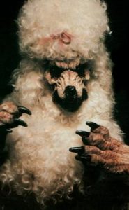 CHUD II Bud the CHUD Blu Ray Review: Beware of the killer Poodle